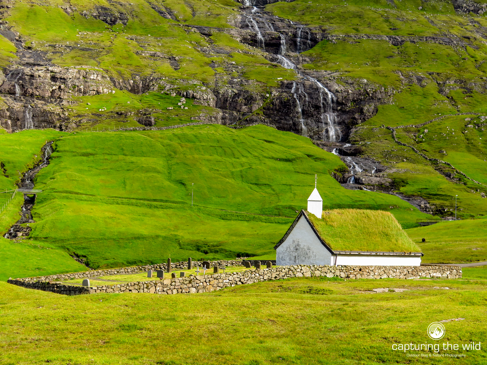 saksun – Capturing The Wild